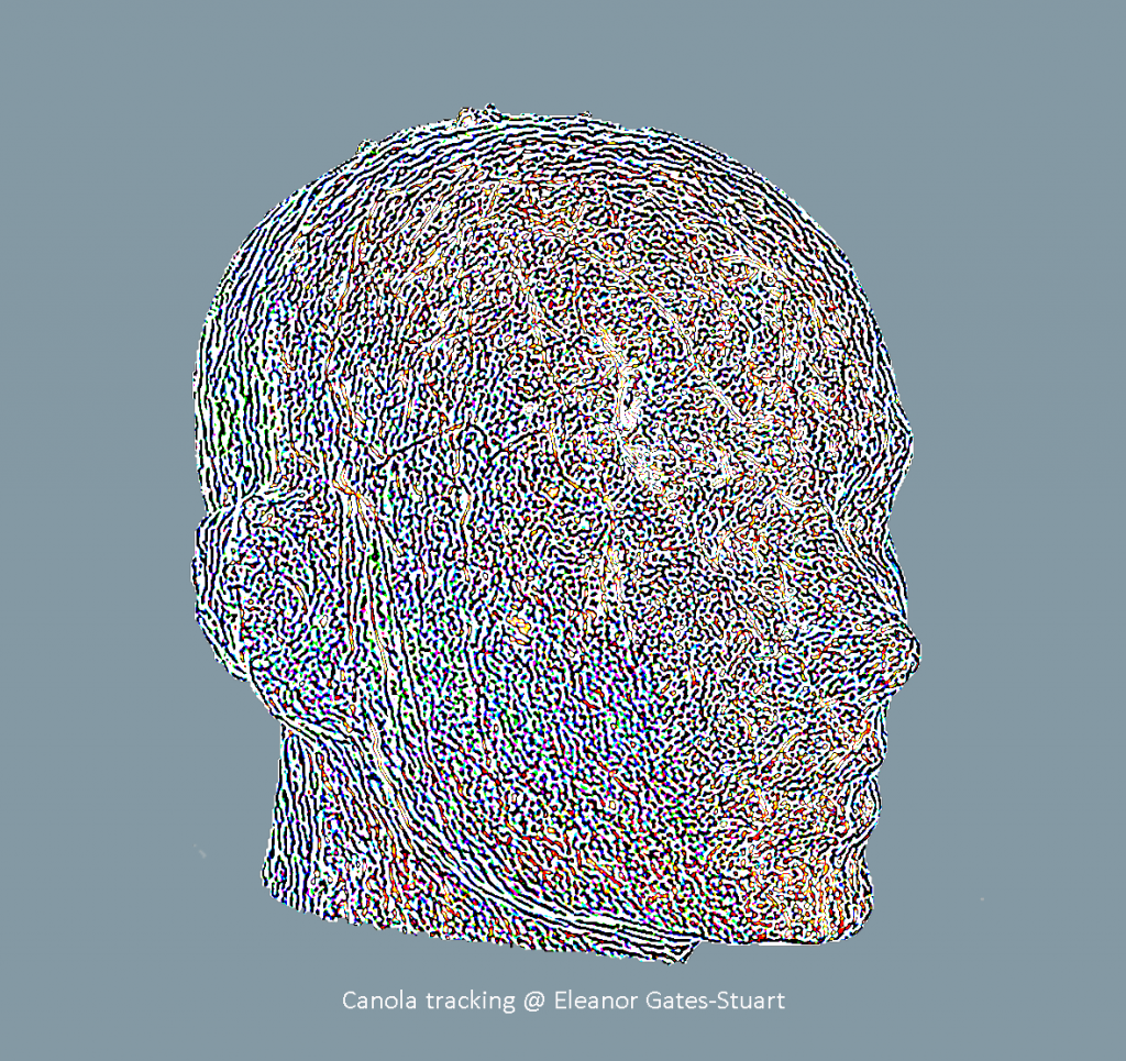 Tracking Patterns – Portrait Institute